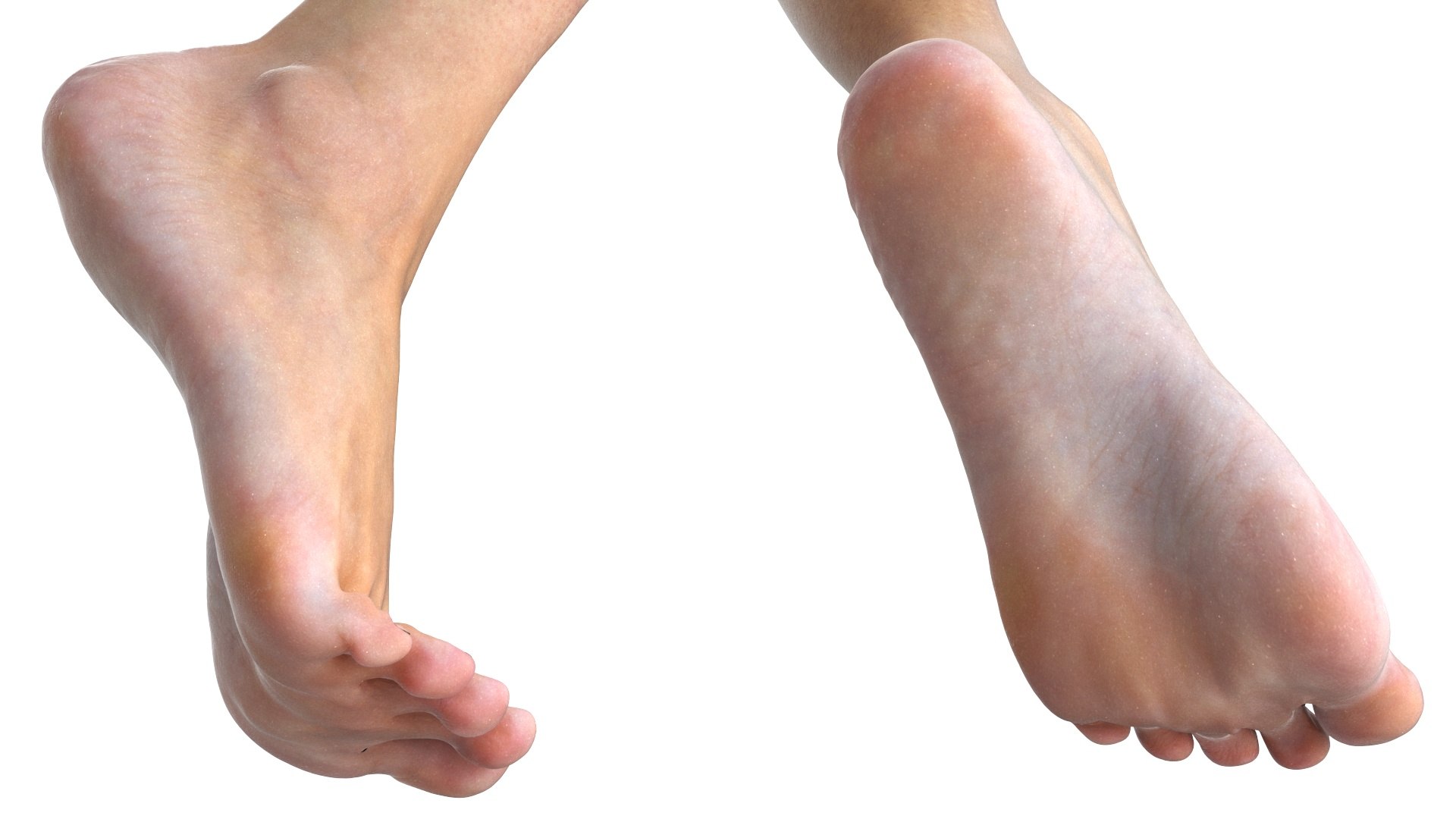 3D Woman Feet Are Raised On Her Toes Model - TurboSquid 2269802