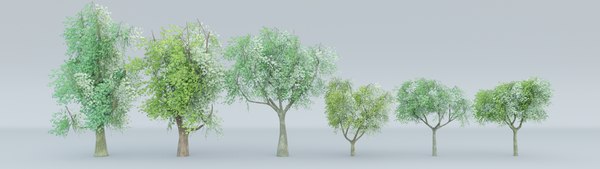 Tree pack 3D - TurboSquid 1421054