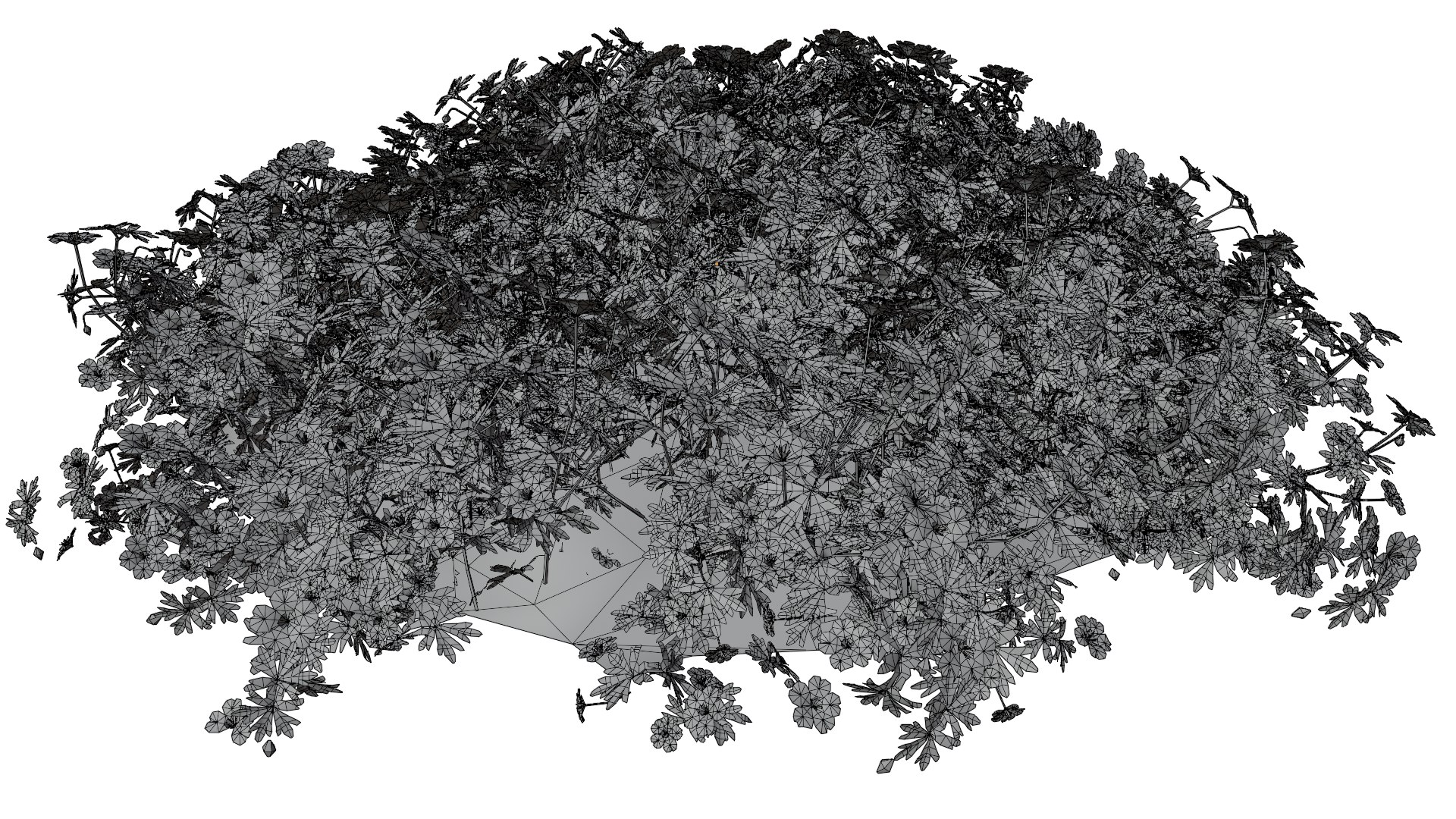 3D Model Geranium - TurboSquid 2351651