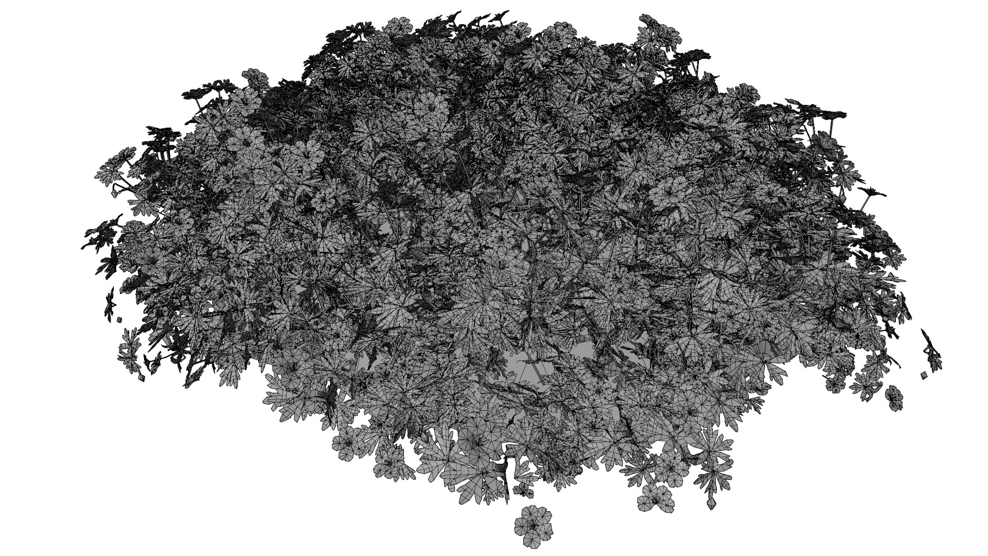 3D Model Geranium - TurboSquid 2351651