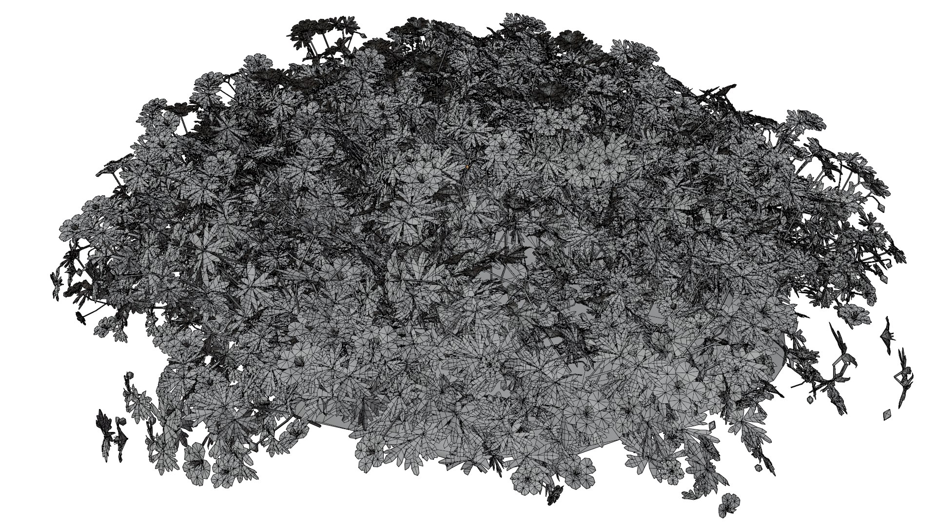 3D Model Geranium - TurboSquid 2351651