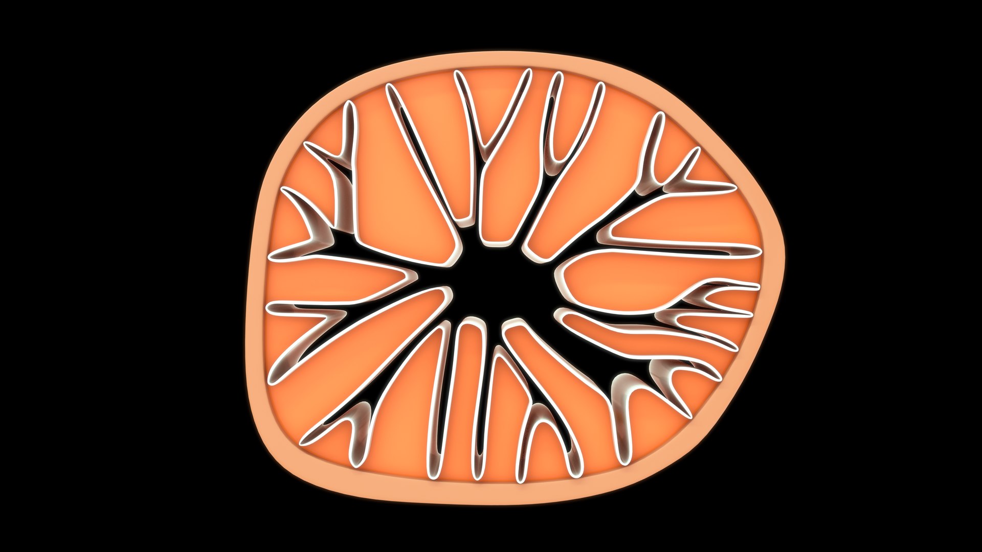 Sclereids Structure 3D Model - TurboSquid 2195186