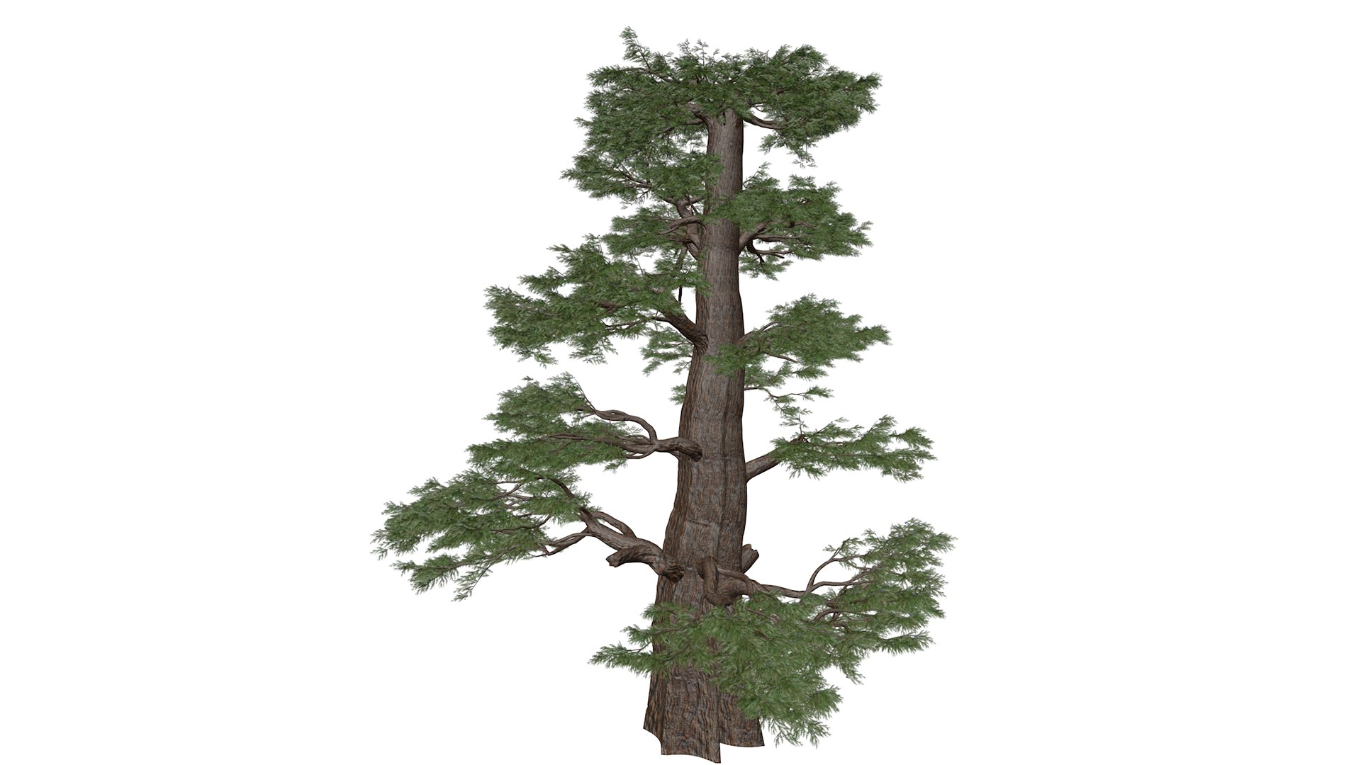 Western Juniper Tree Collection 3D - TurboSquid 2378895
