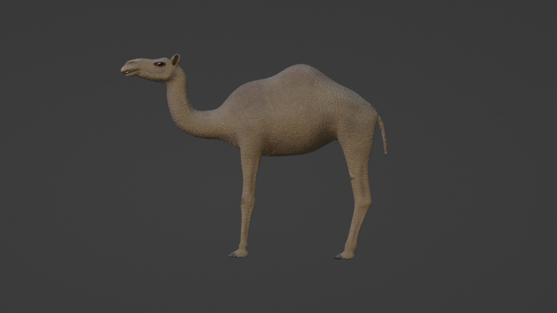 3D Camel 3D Model Rigged And Animated - TurboSquid 2299180