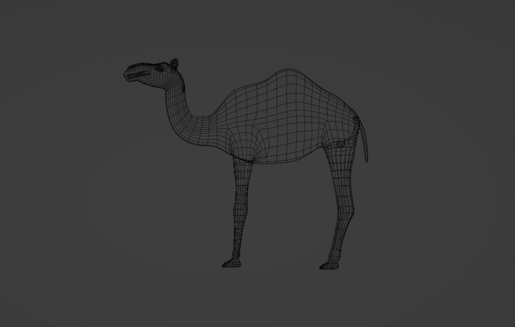 3D Camel 3D Model Rigged And Animated - TurboSquid 2299180
