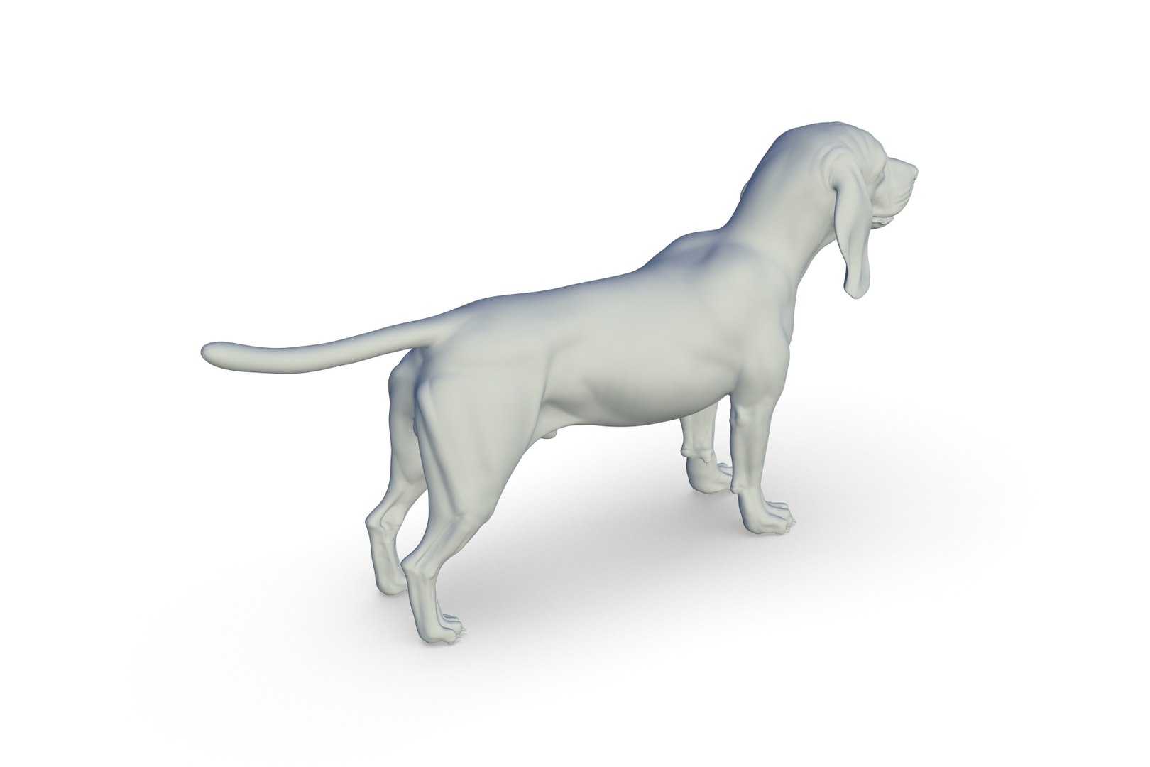 Beagle 3D Model - TurboSquid 2214000