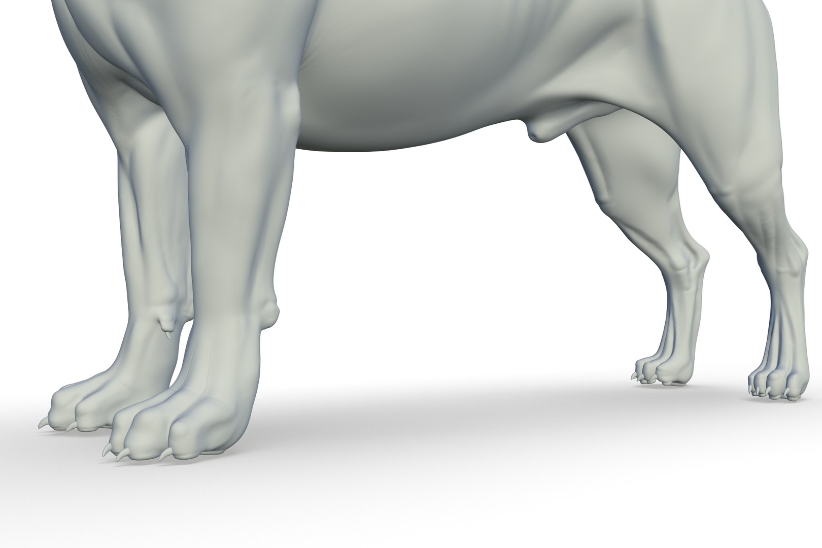 Beagle 3D Model - TurboSquid 2214000