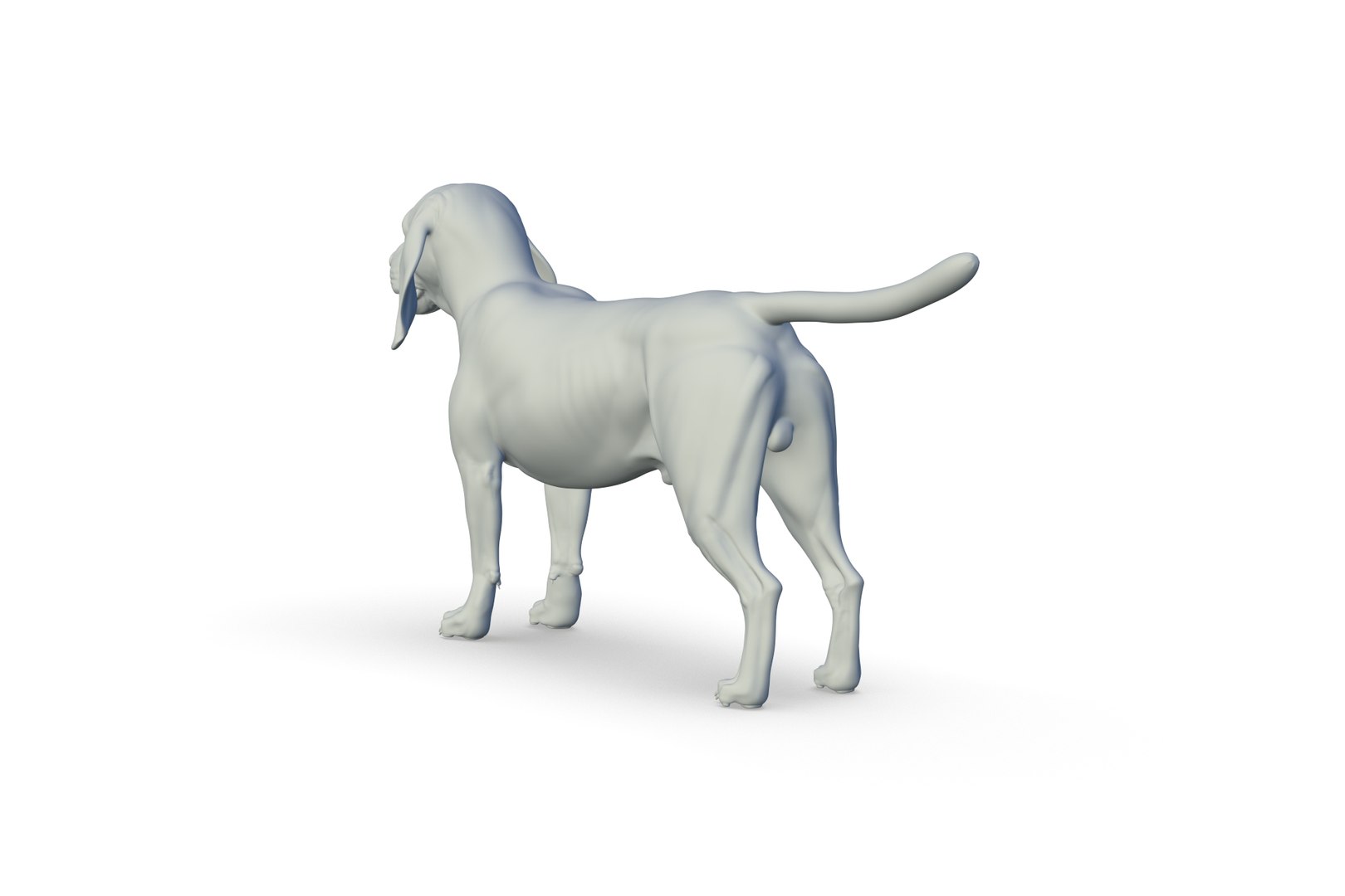 Beagle 3D Model - TurboSquid 2214000