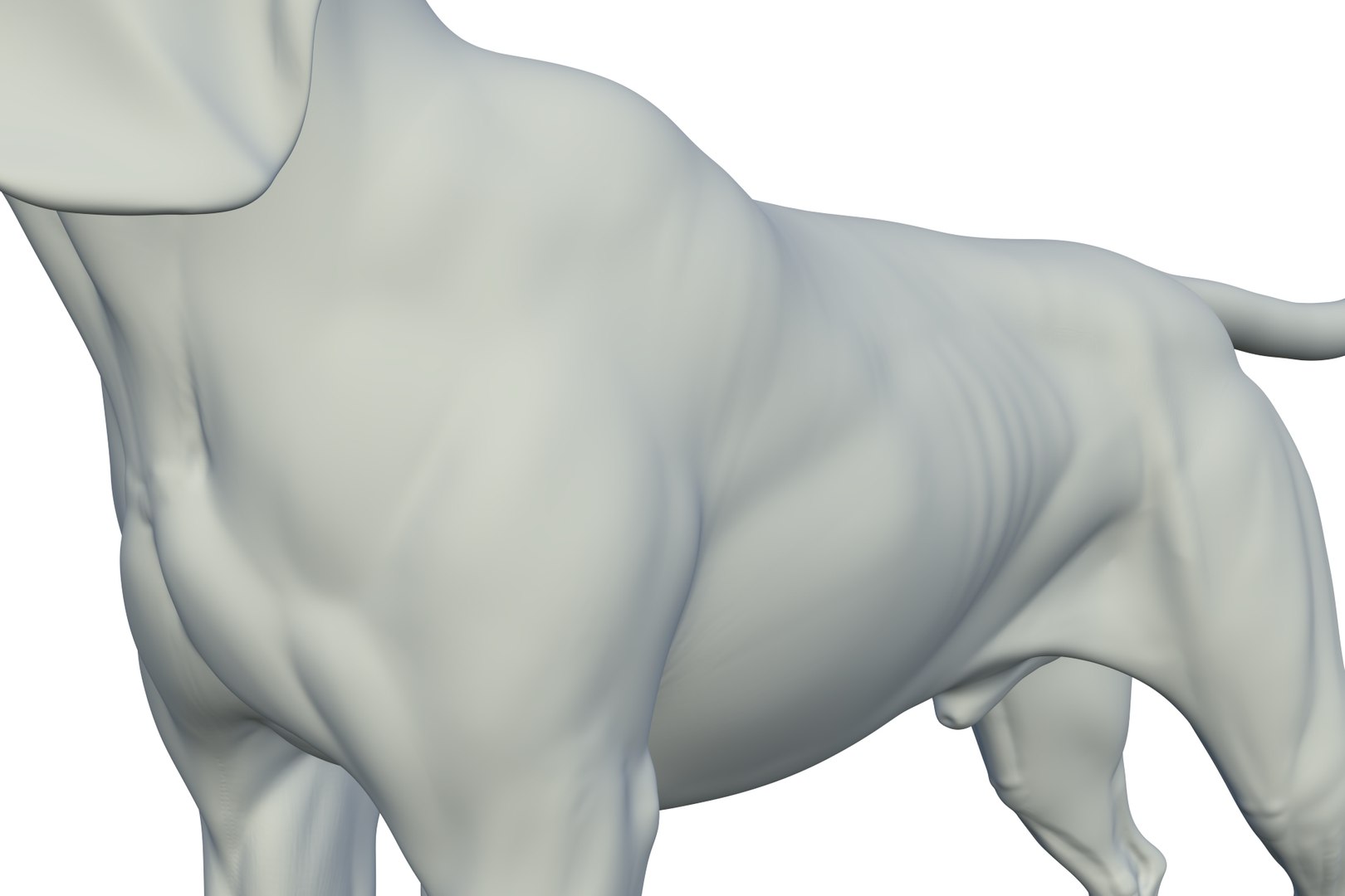 Beagle 3D Model - TurboSquid 2214000