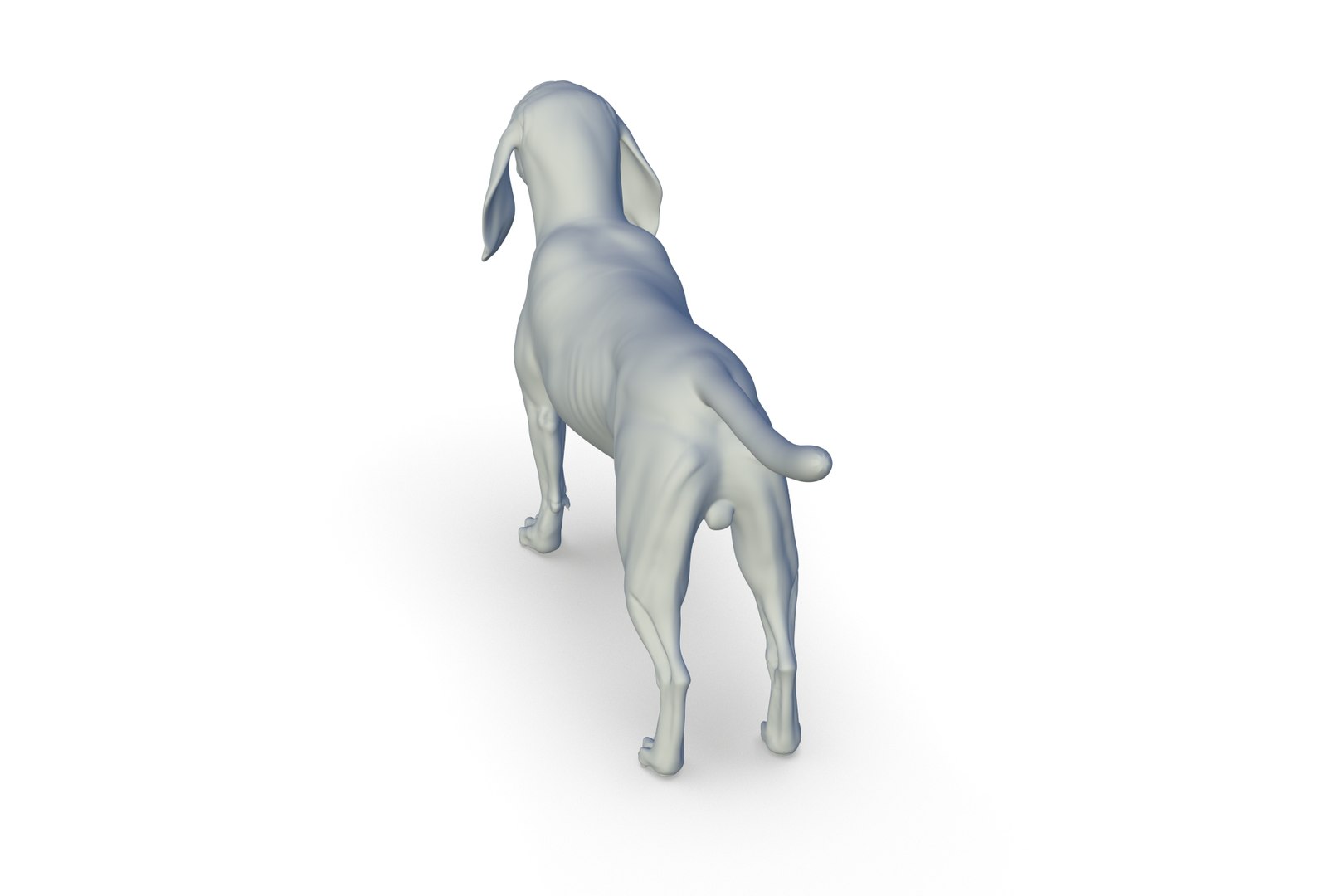 Beagle 3D Model - TurboSquid 2214000