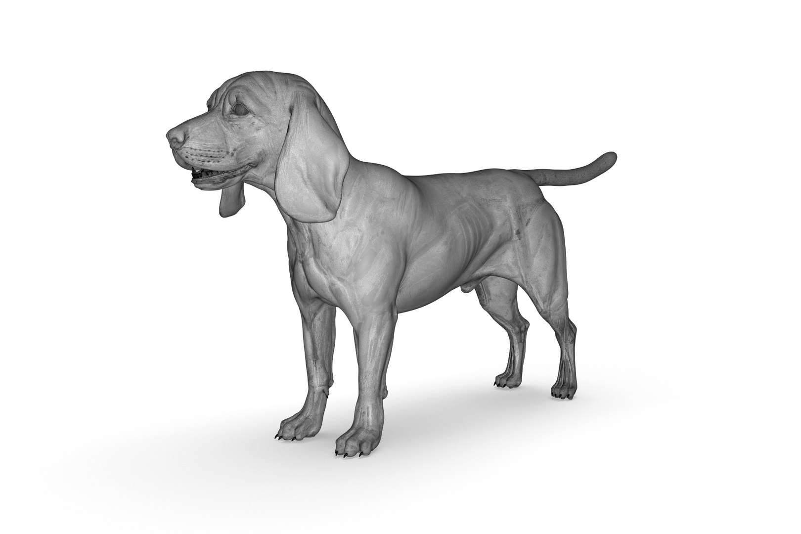 Beagle 3D Model - TurboSquid 2214000