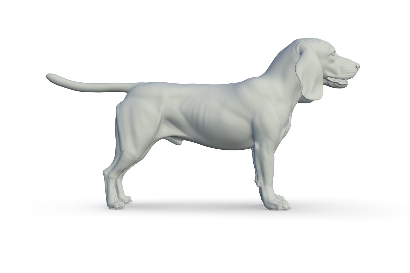 Beagle 3D Model - TurboSquid 2214000