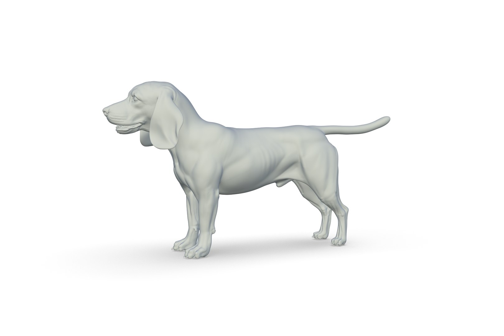 Beagle 3D Model - TurboSquid 2214000