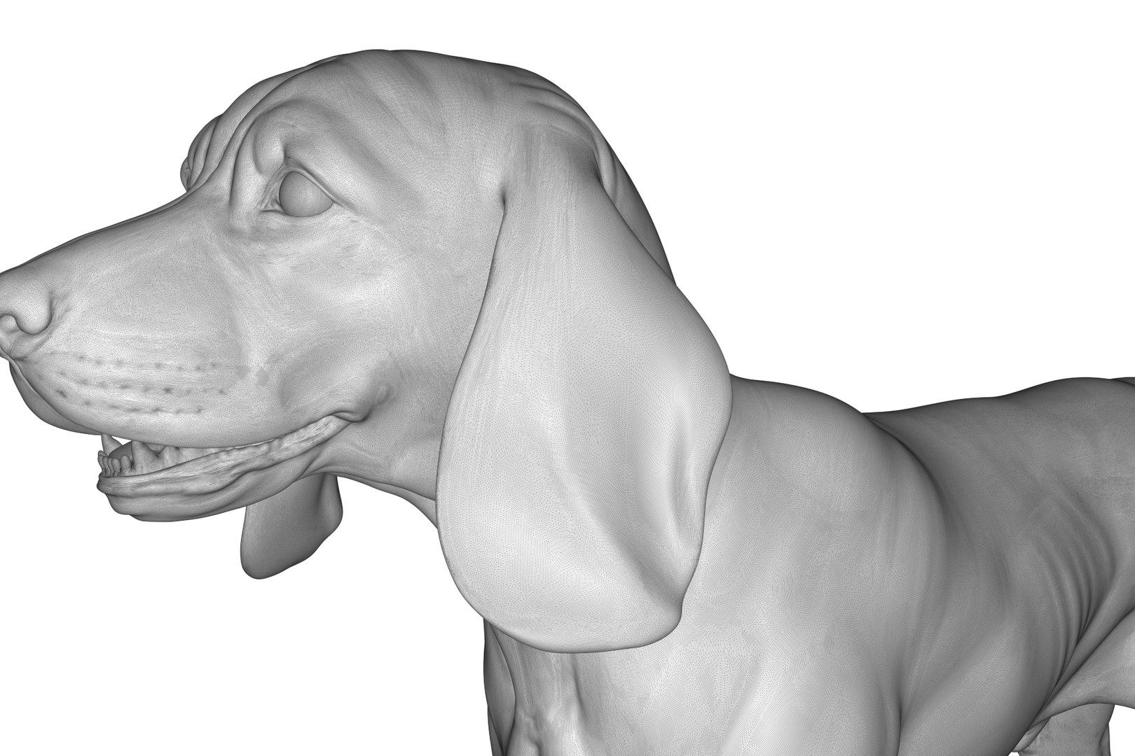 Beagle 3D Model - TurboSquid 2214000