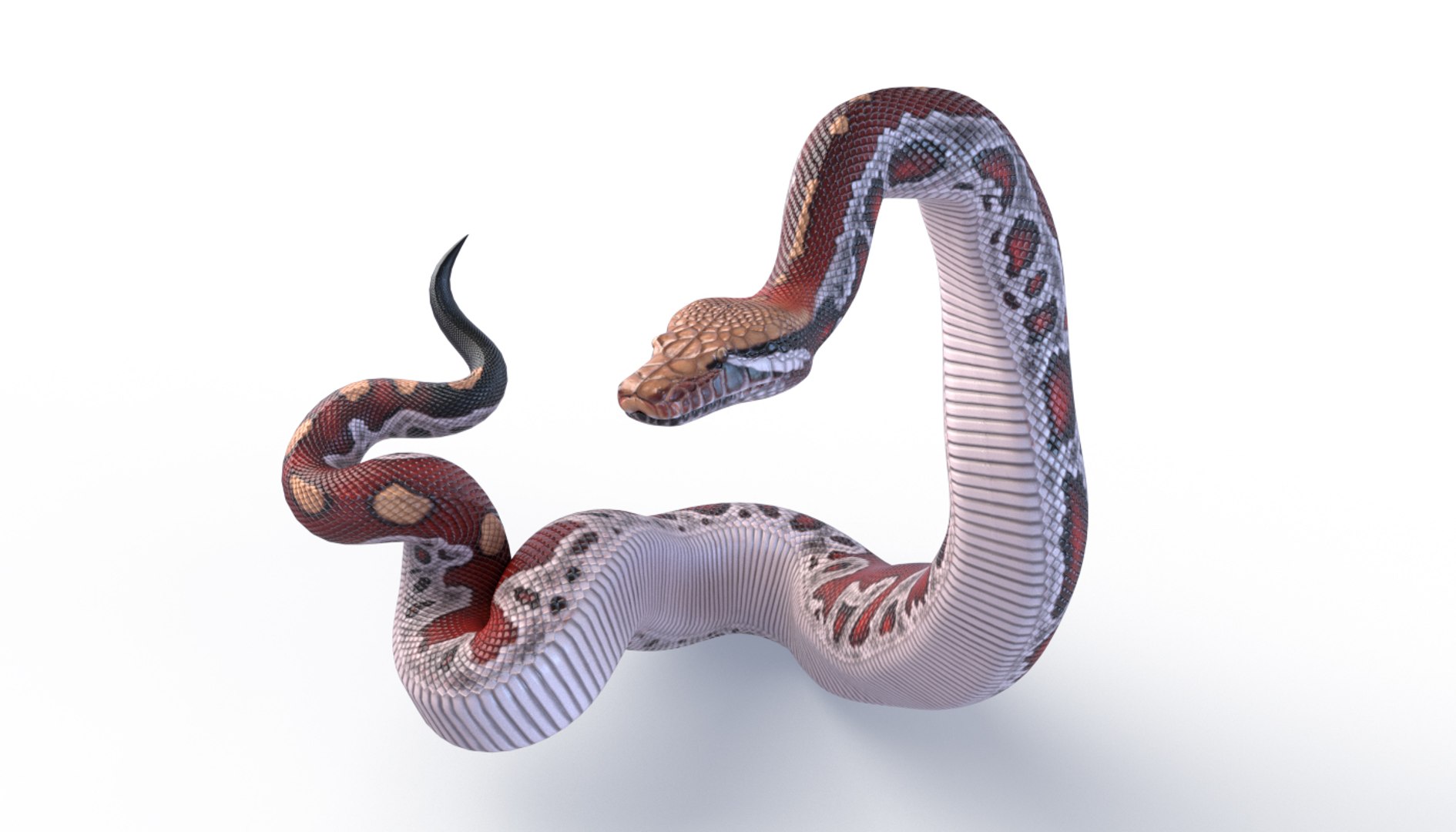 3D model Blood Python - Rigged - TurboSquid 1774503
