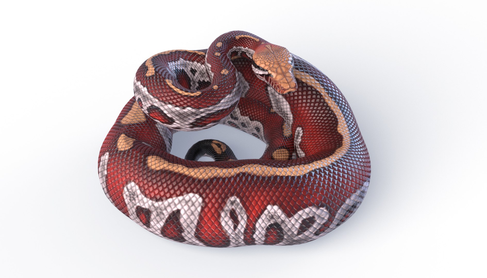 3D model Blood Python - Rigged - TurboSquid 1774503