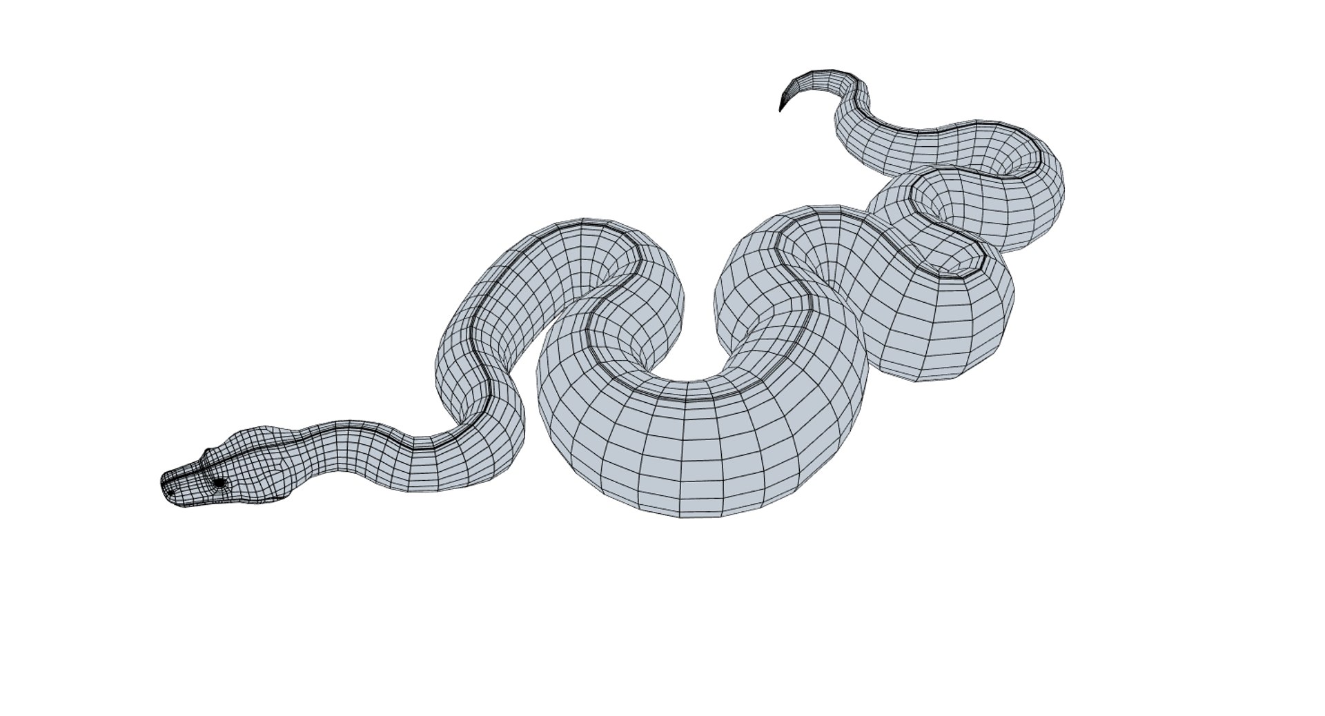 3D Model Blood Python - Rigged - TurboSquid 1774503