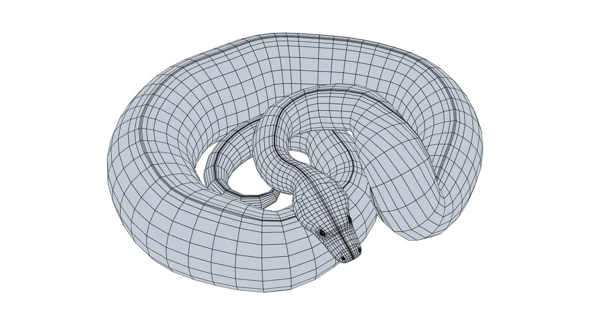 3D Model Blood Python - Rigged - TurboSquid 1774503