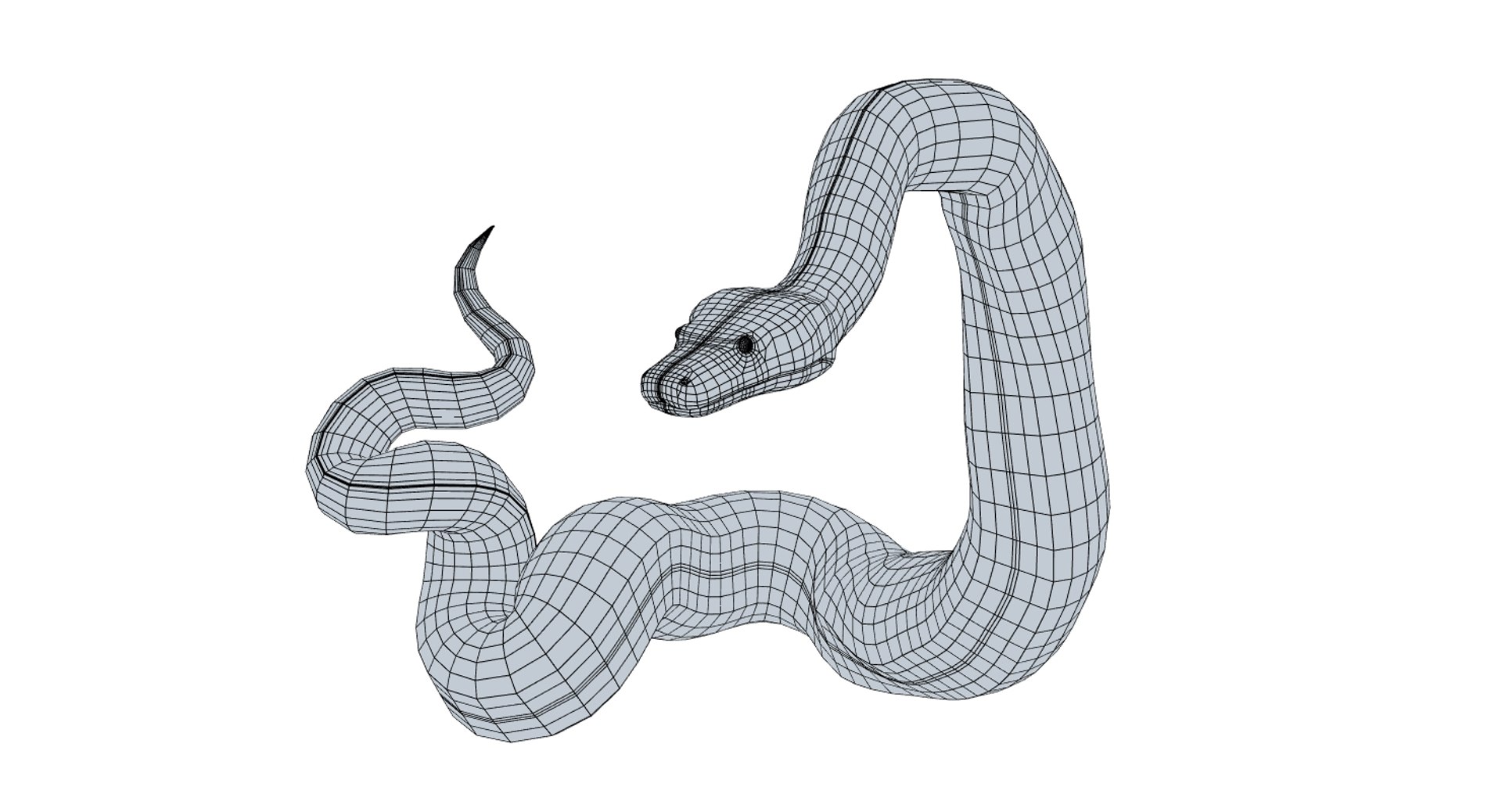 3D Model Blood Python - Rigged - TurboSquid 1774503