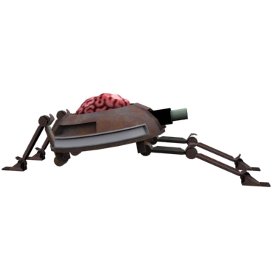 Brain 3D Model - TurboSquid 550625