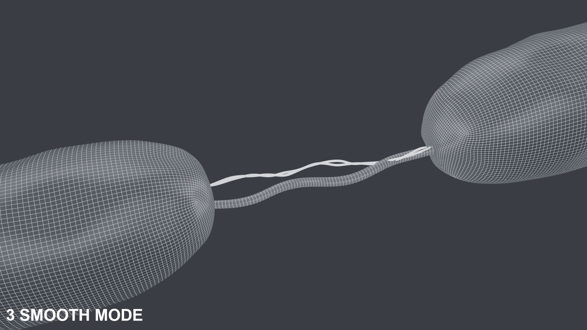 3D Model E Coli Sexual Reproduction - TurboSquid 2415341