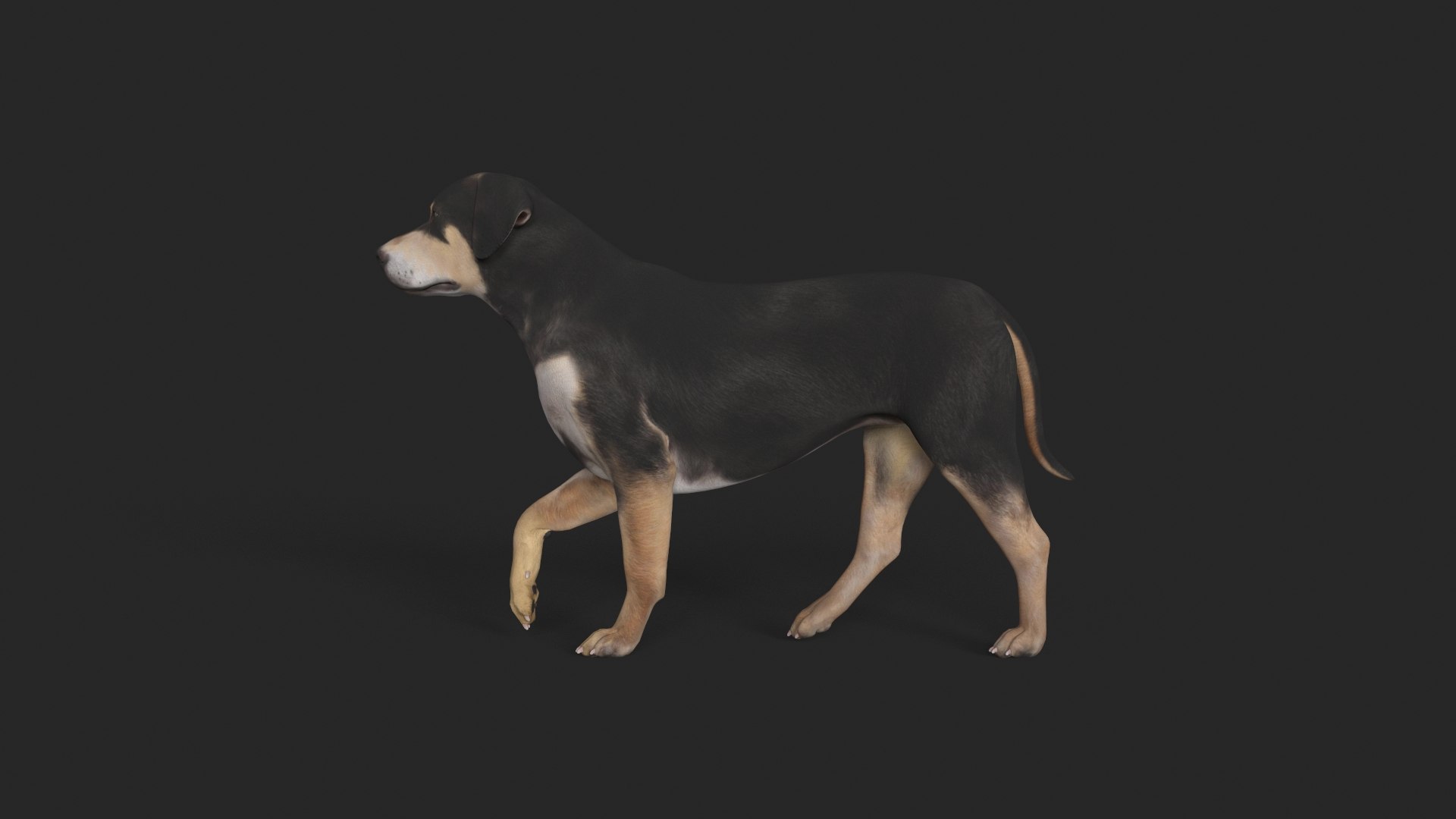 LAB-008 Dog Walking 3D model - TurboSquid 1913887