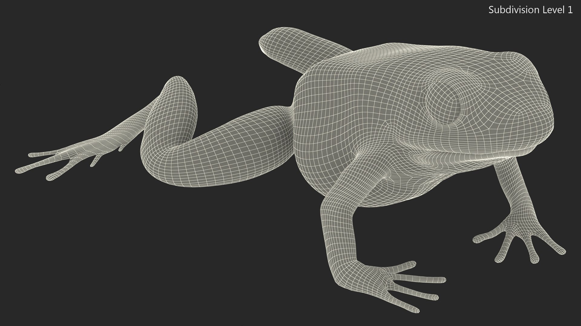 Crawling Poisonous Arrow Frog Orange Morph 3D - TurboSquid 2187120