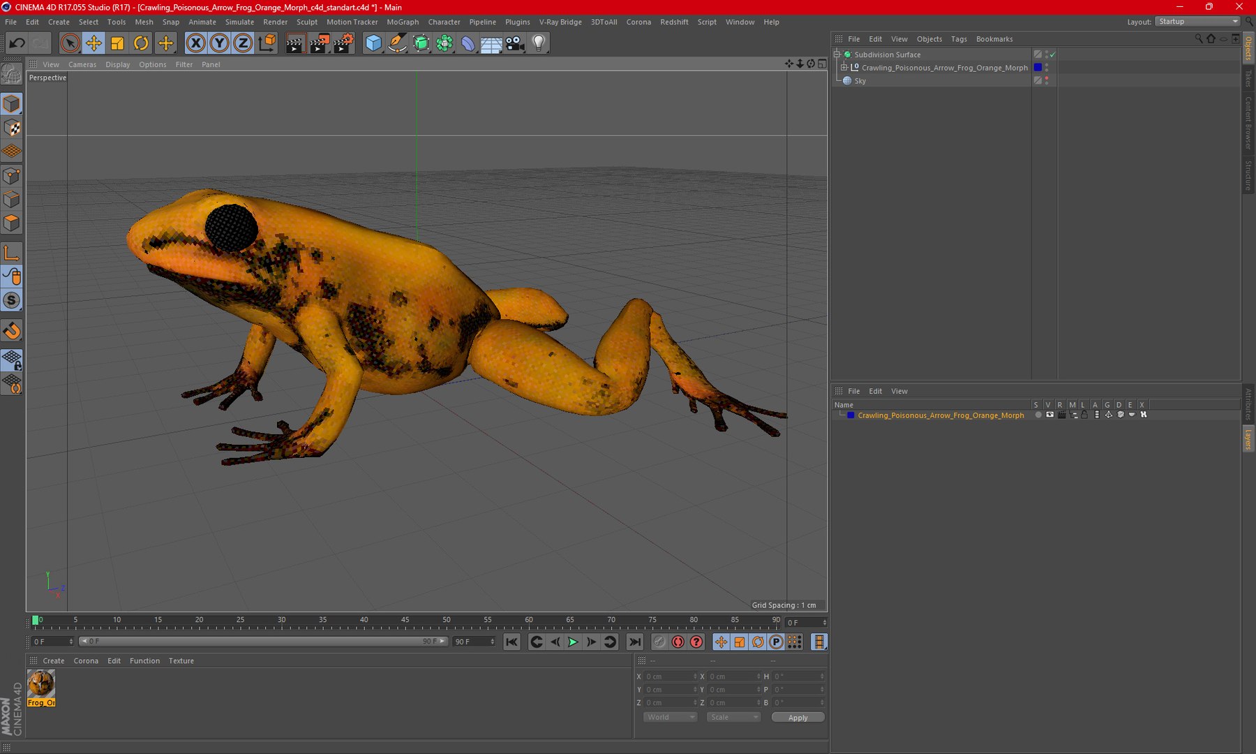 Crawling Poisonous Arrow Frog Orange Morph 3D - TurboSquid 2187120