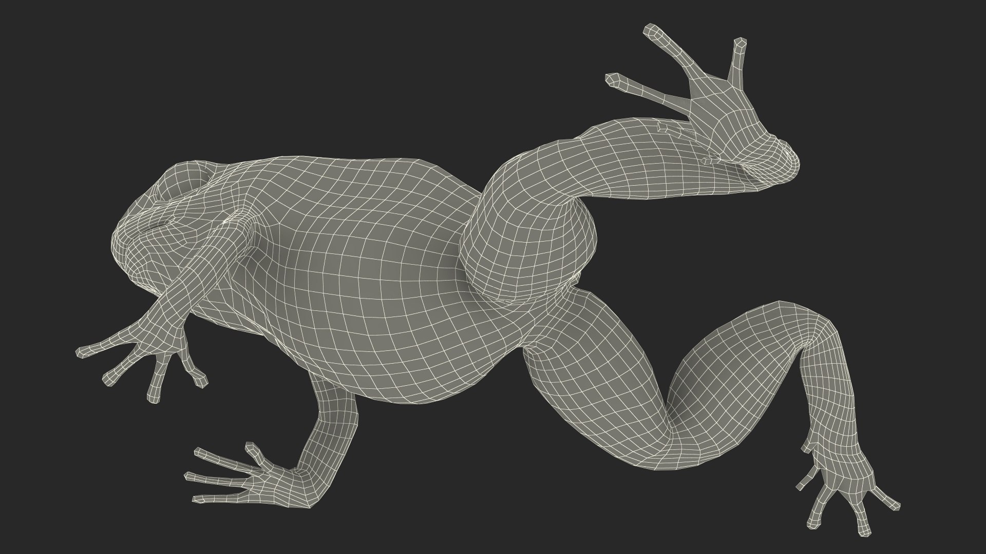 Crawling Poisonous Arrow Frog Orange Morph 3D - TurboSquid 2187120