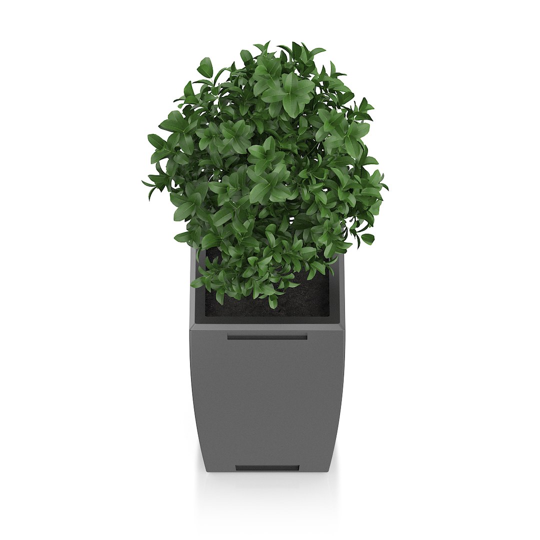 3d Model Of Plant Rectangular Pot