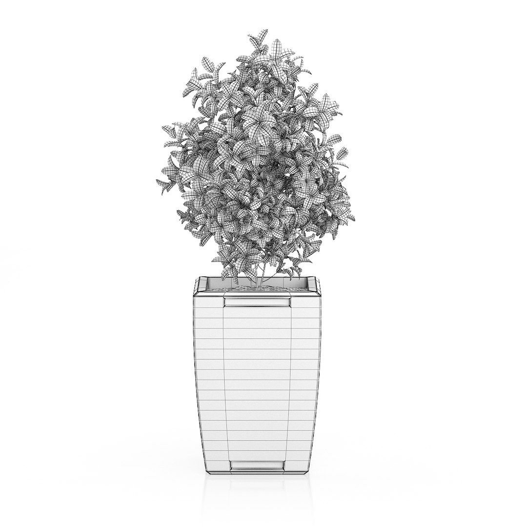 3d Model Of Plant Rectangular Pot