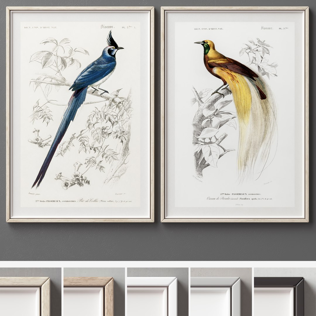 3D Picture Frames Set-409 - TurboSquid 2043352