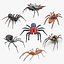 Spiders Collection 3 Model - TurboSquid 2175585