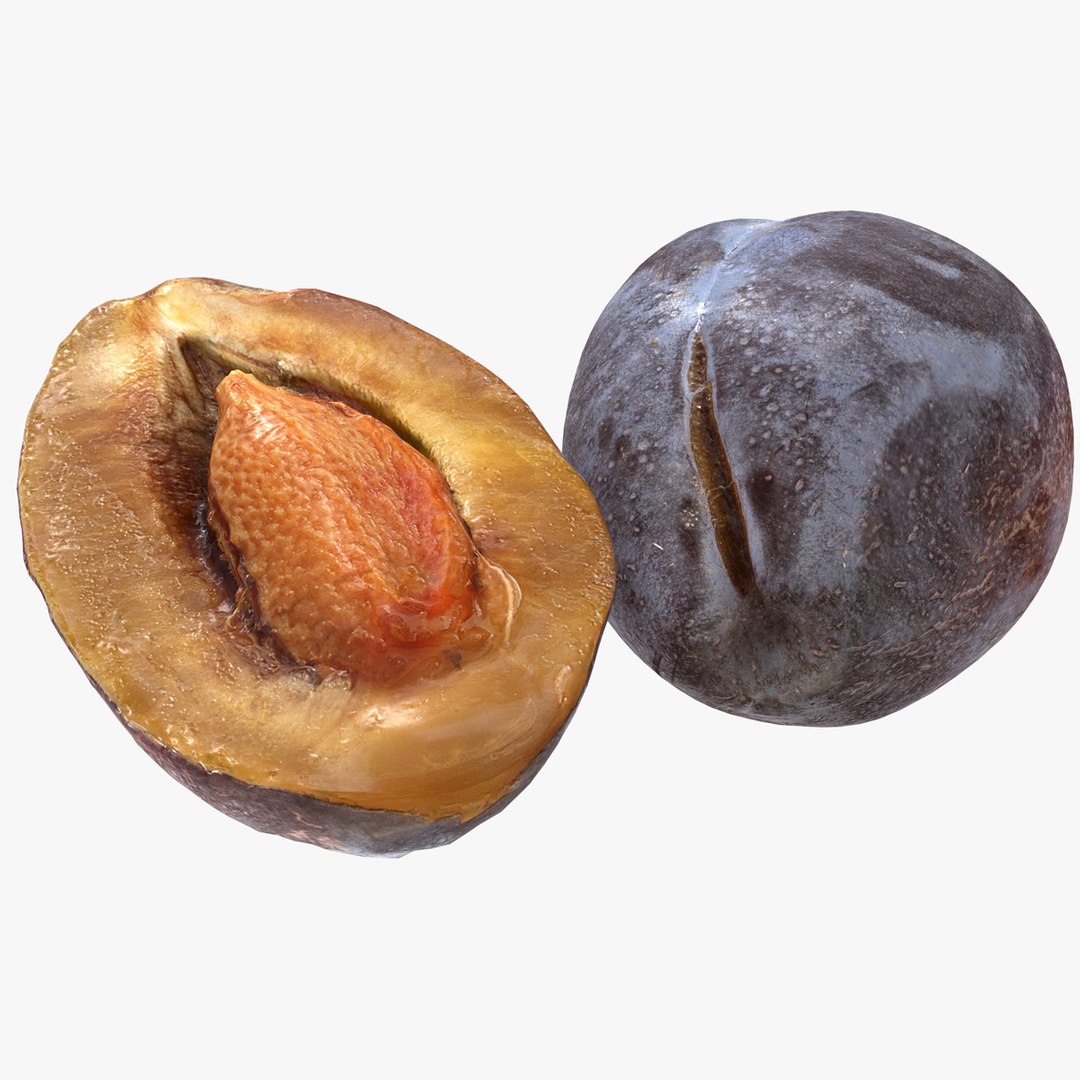 3D A plum and half a pitted plum model - TurboSquid 1986309