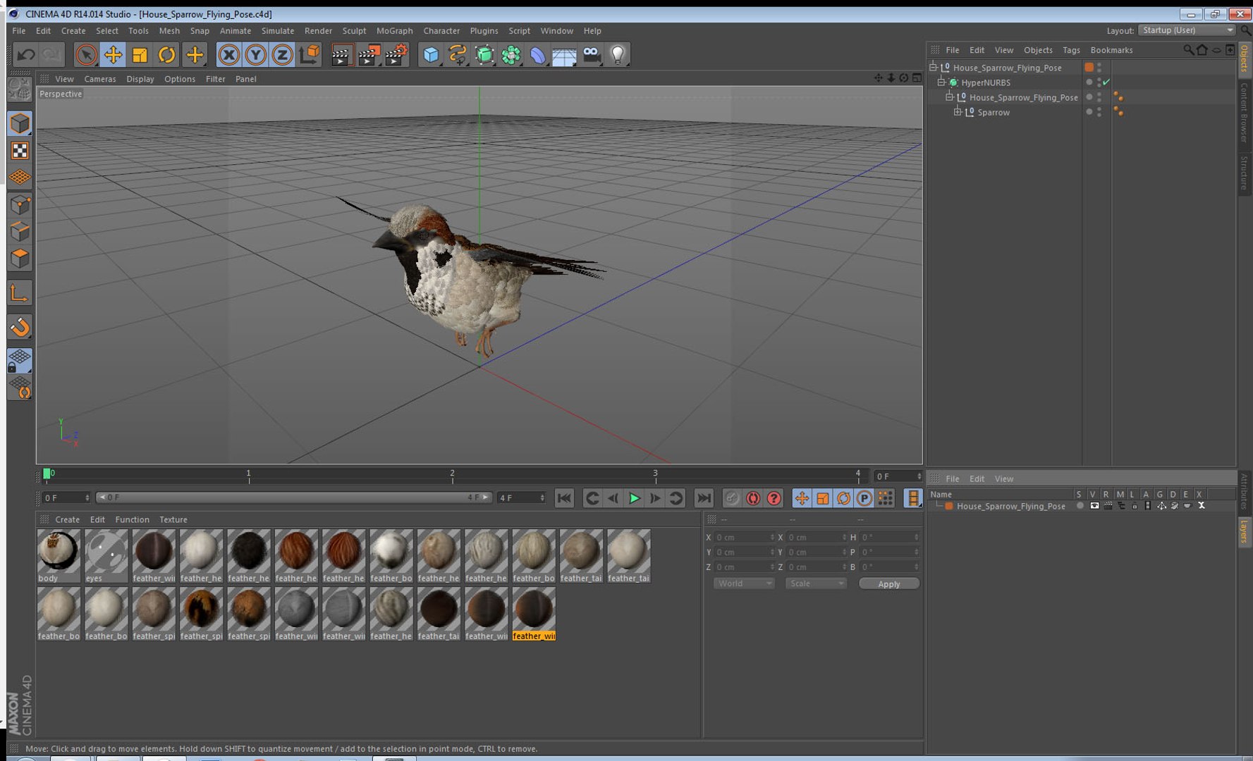 House Sparrow Flying Pose 3D Model - TurboSquid 1381734