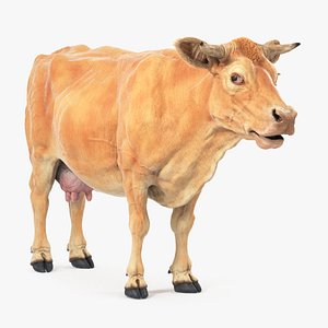 Download Free & Premium Nature 3D Models | TurboSquid