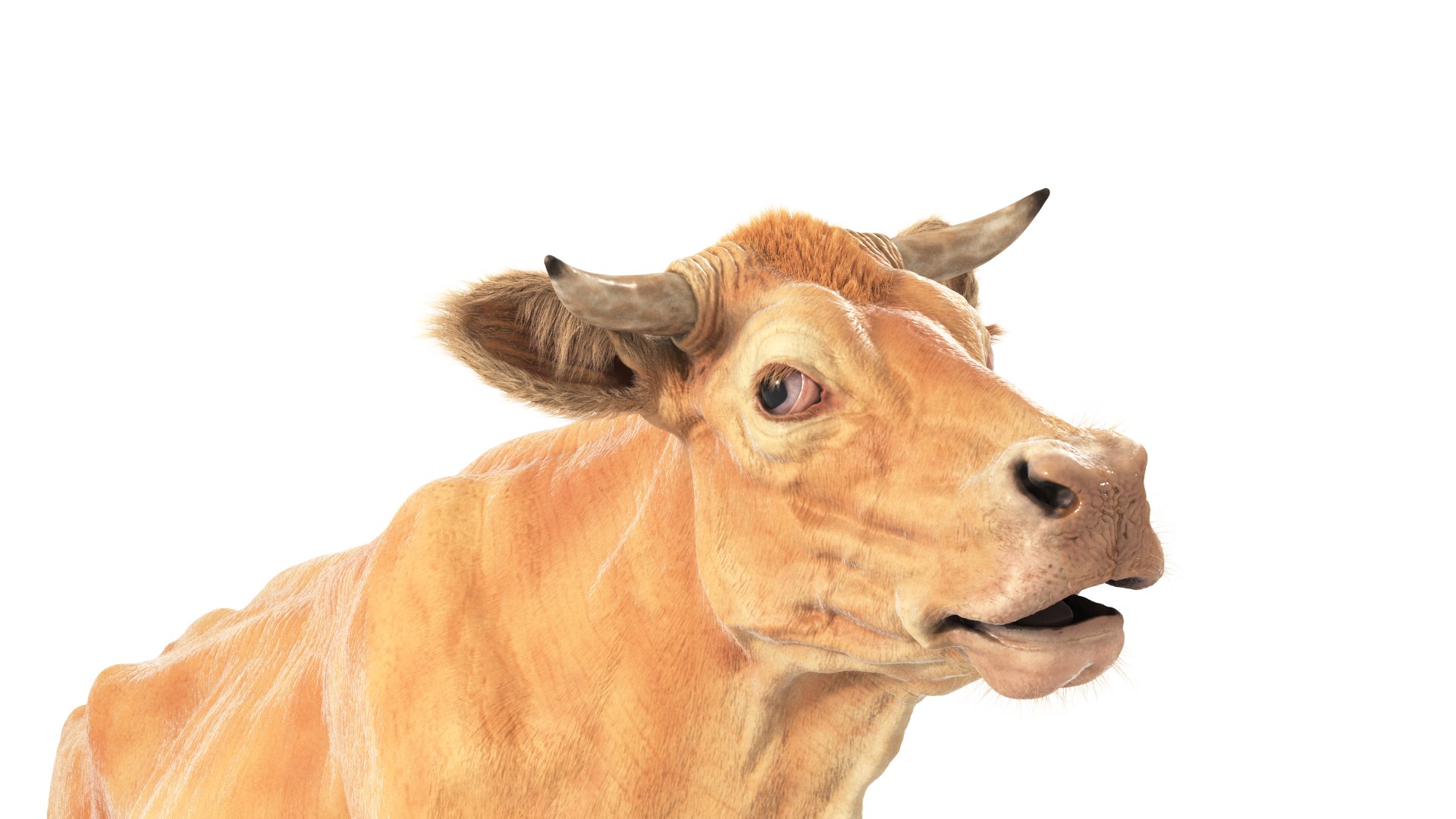 Cow Textured 3D Model - TurboSquid 2410641