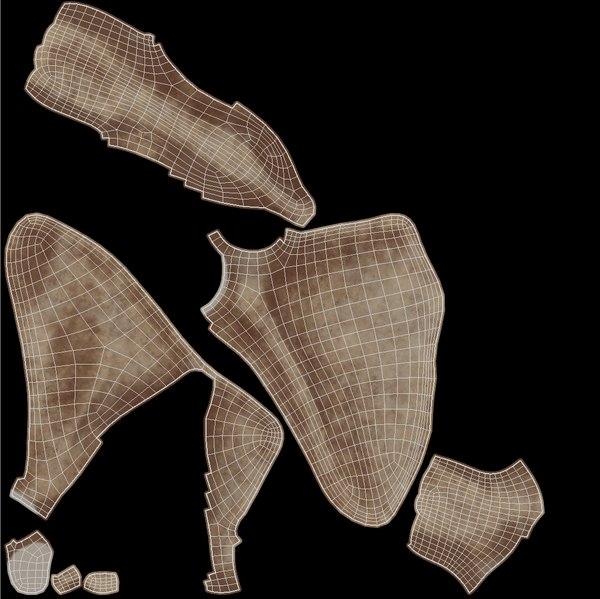 modèle 3D de Anatomie humaine-Corps humain-Projection externe des ...