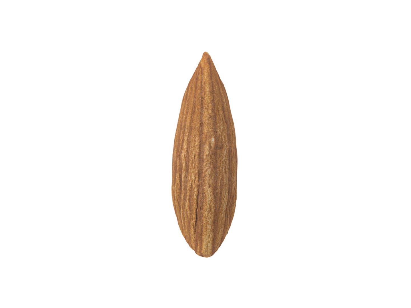 Scanned Almond 3D Model - TurboSquid 1345303