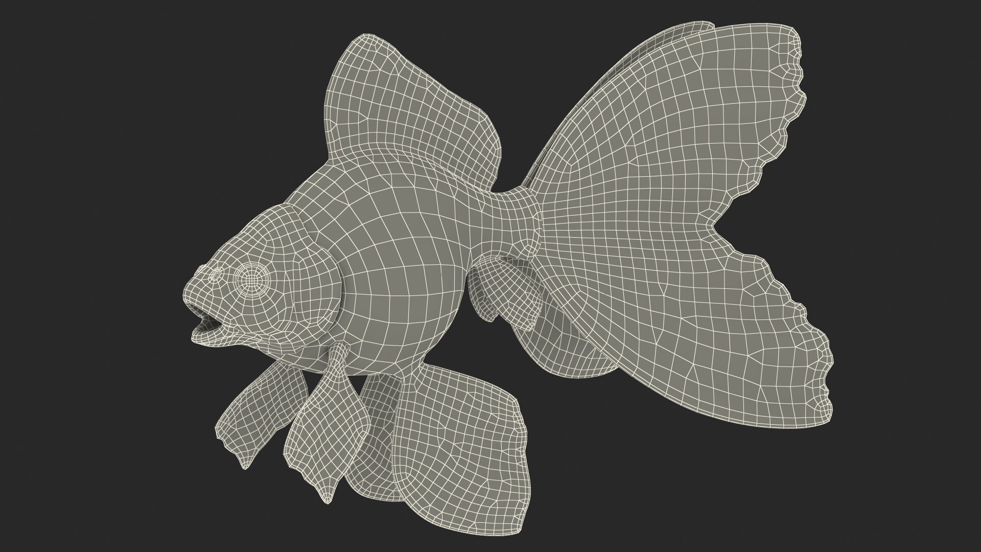 how to draw 3d goldfish