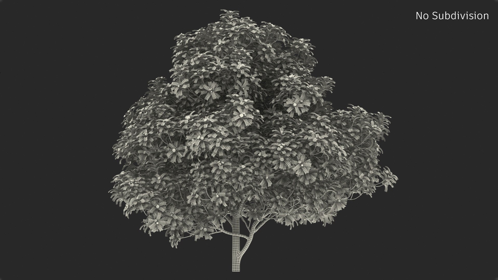 Anise Tree with Green Fruits 3D model - TurboSquid 1994237
