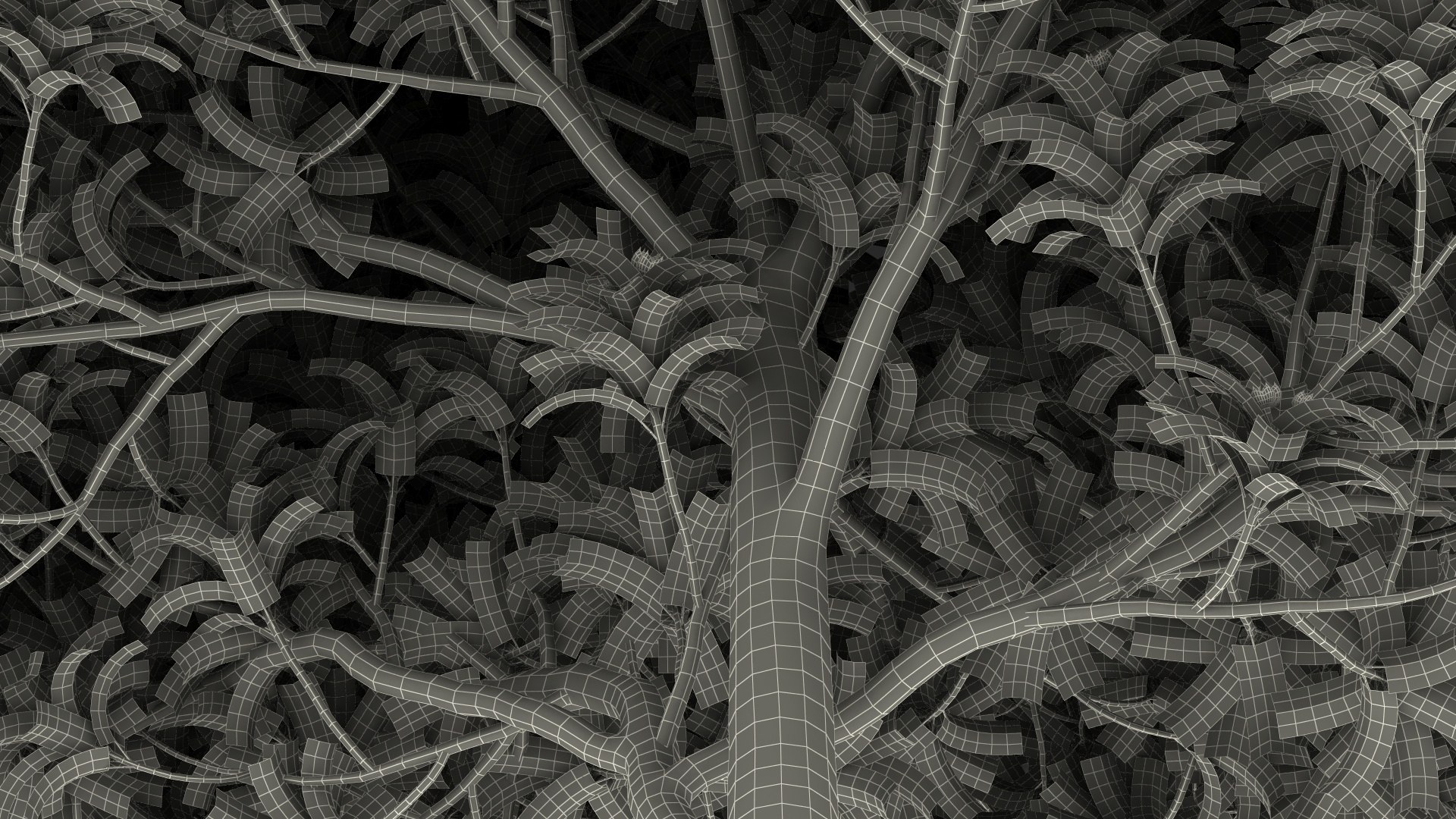 Anise Tree with Green Fruits 3D model - TurboSquid 1994237