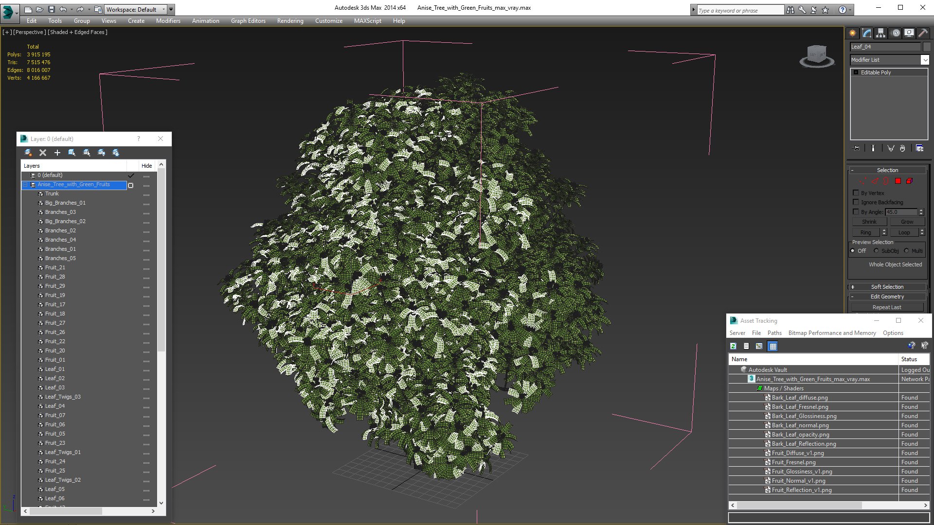 Anise Tree with Green Fruits 3D model - TurboSquid 1994237