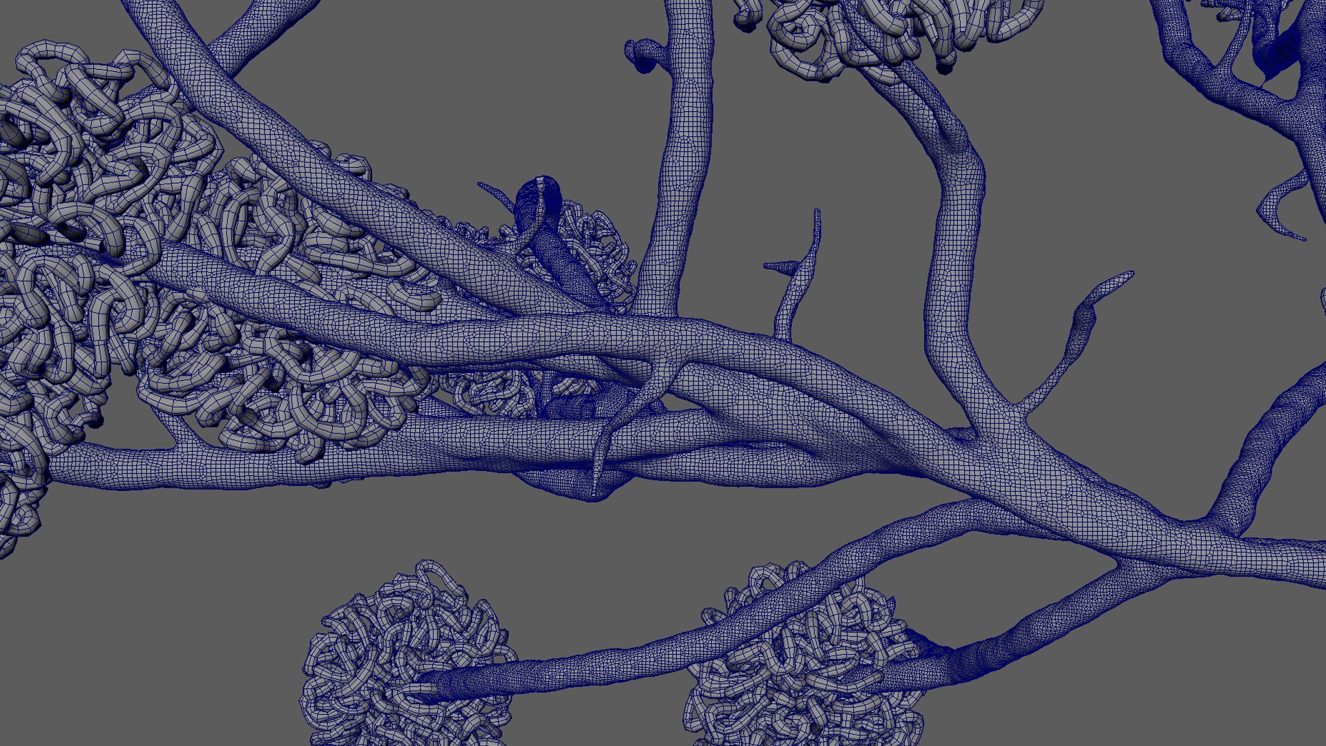 Kidney Glomeruli 3D Model - TurboSquid 2234046