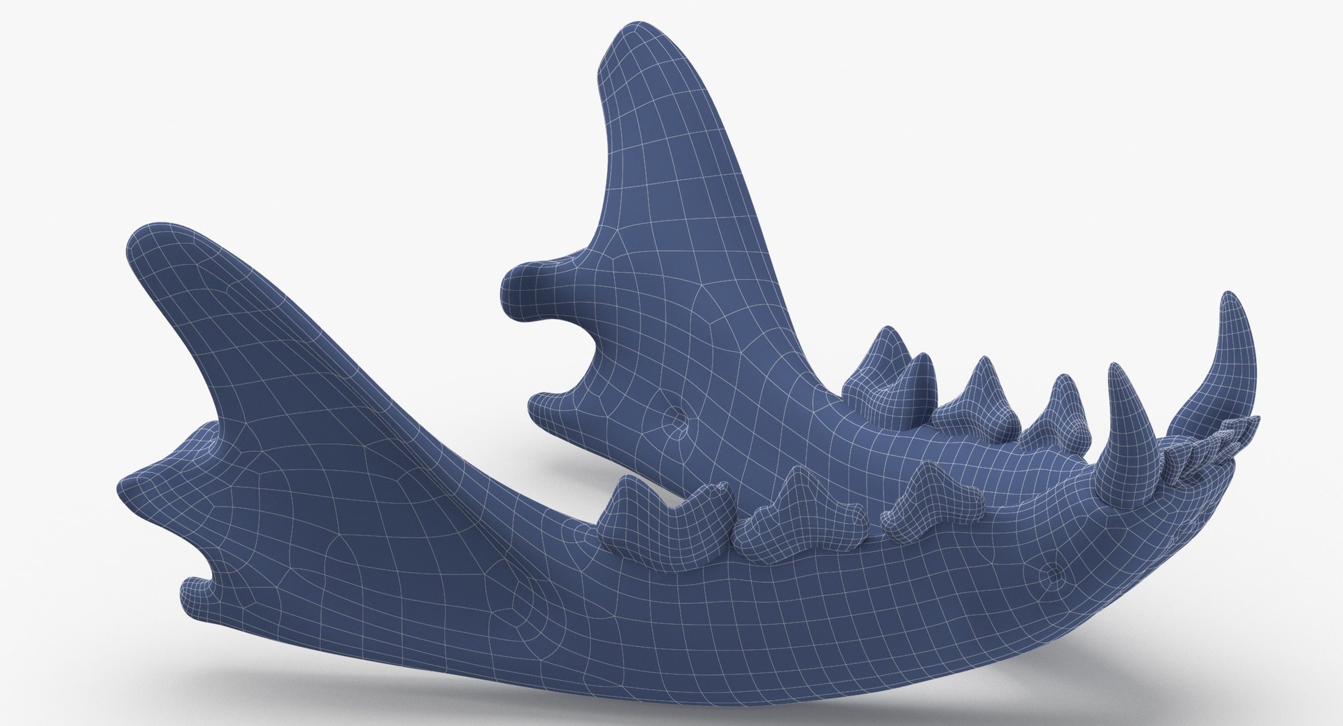 3D Domestic Cat Jaw 02 - TurboSquid 1584416