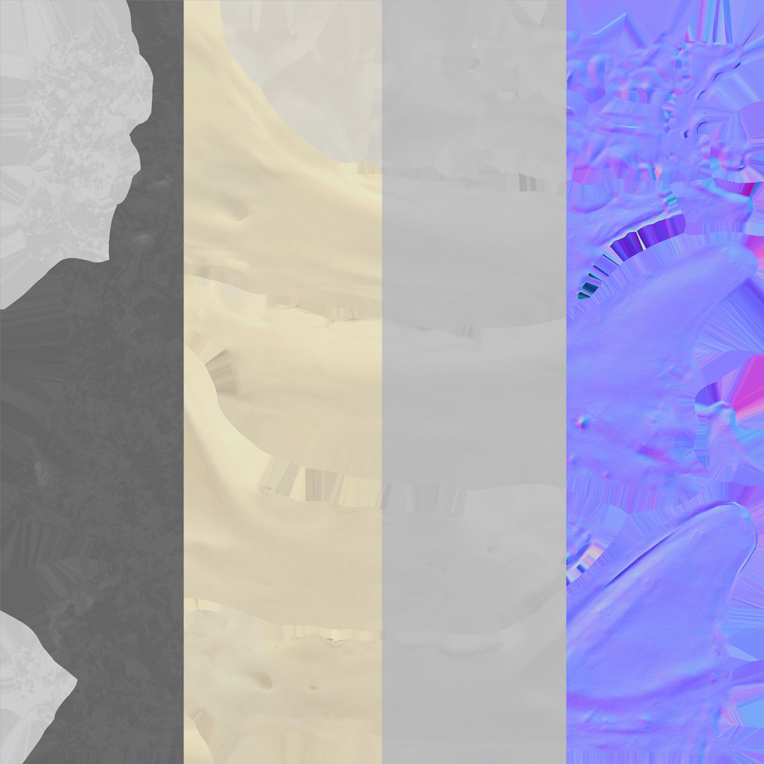 3D Domestic Cat Jaw 02 - TurboSquid 1584416