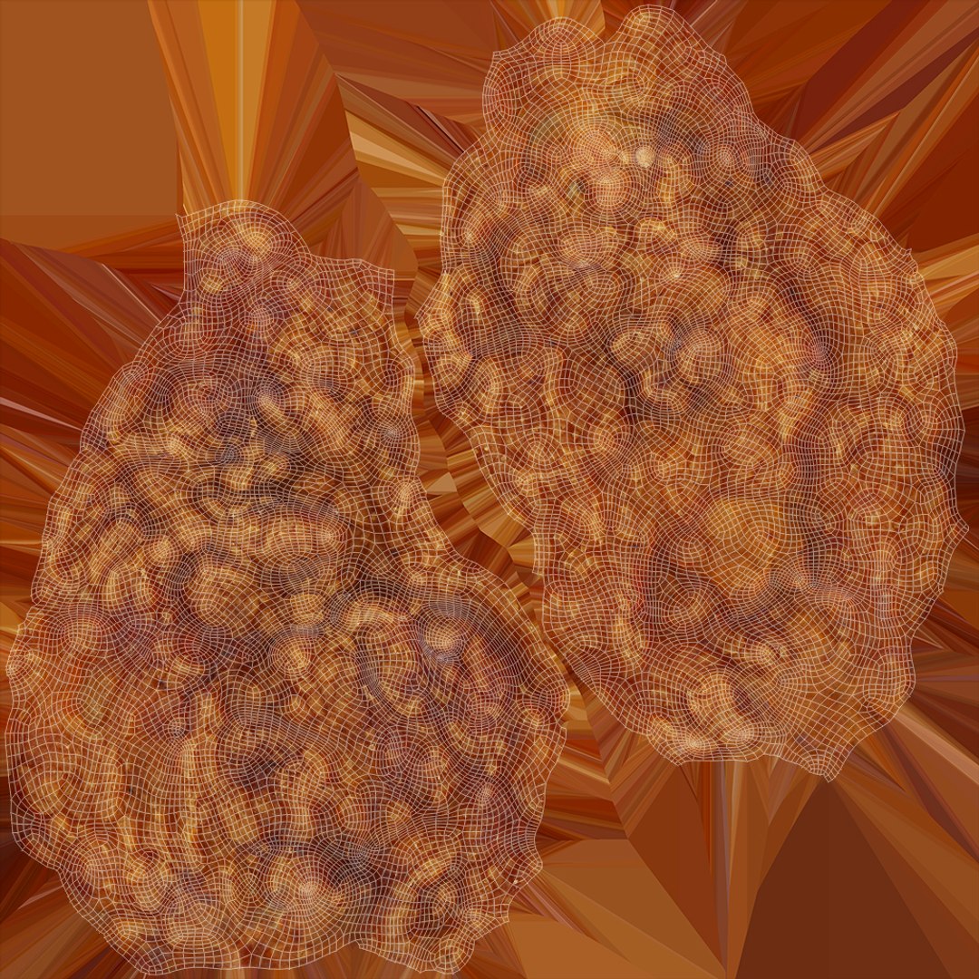 Realistic Chicken Fry 2 3D - TurboSquid 1771757