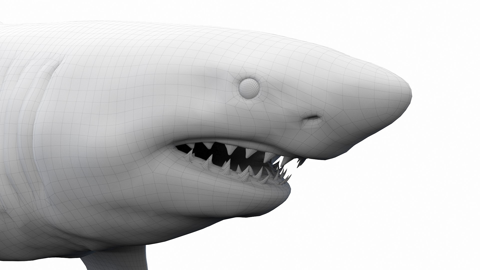 Great White Shark 3D - TurboSquid 1952905