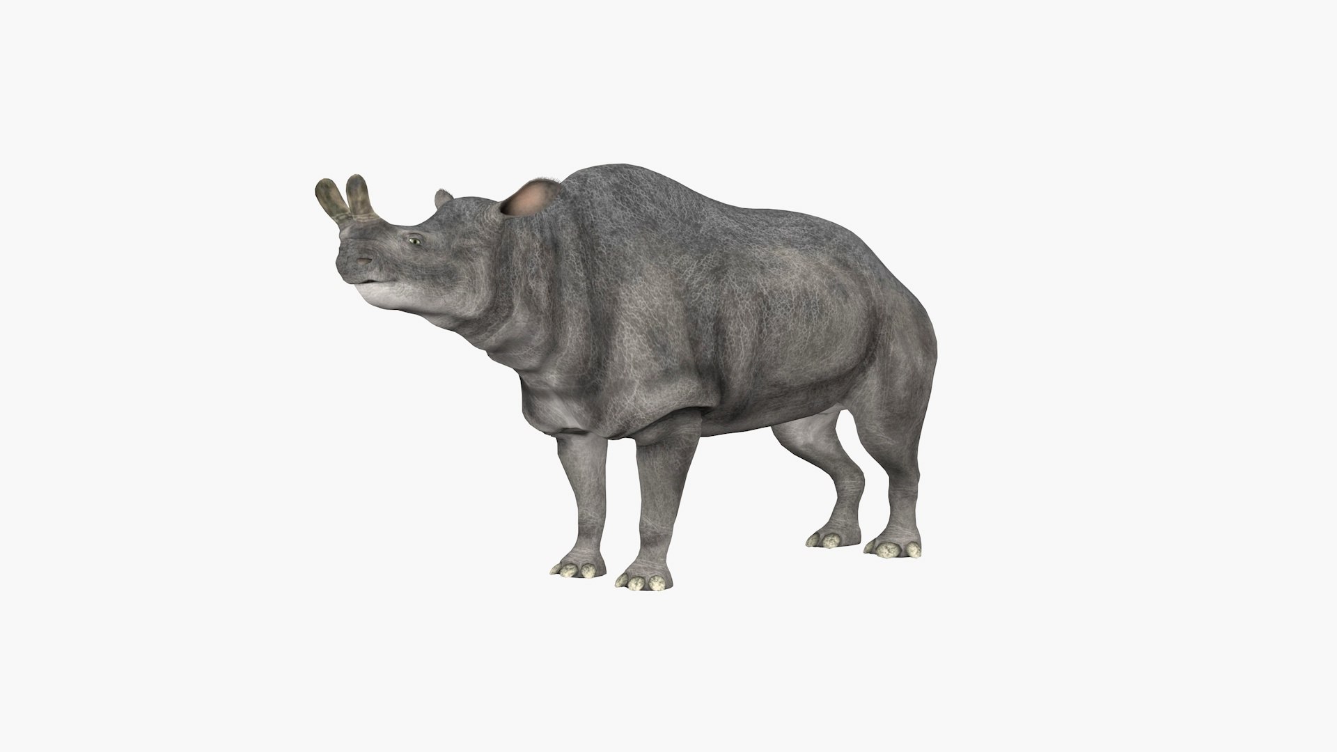Brontotherium 3D Model - TurboSquid 1844276