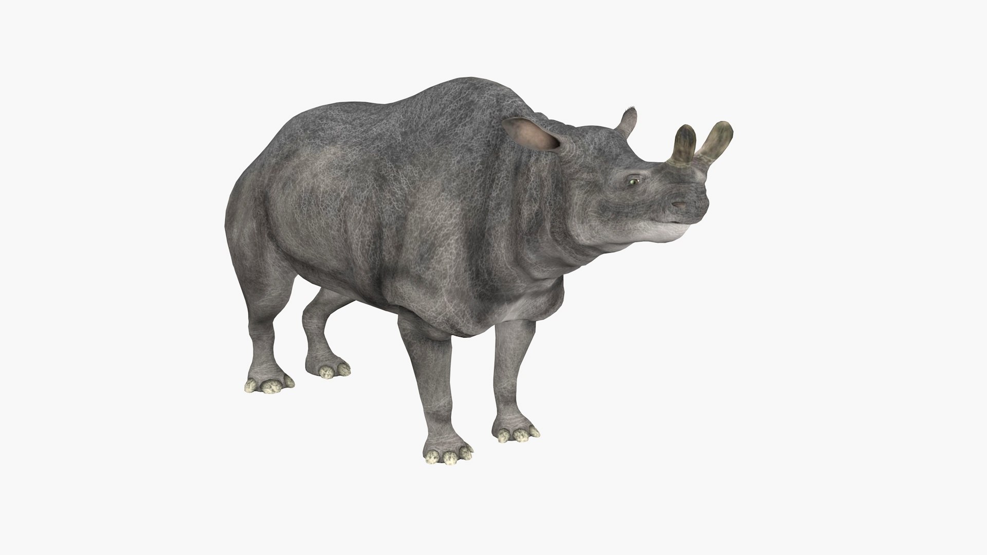 Brontotherium 3D Model - TurboSquid 1844276